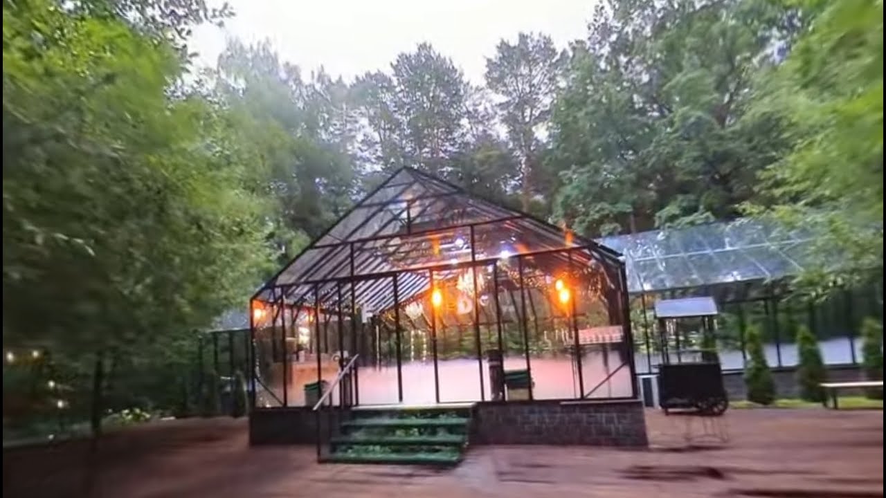 Forest dew pure magic 360° - YouTube