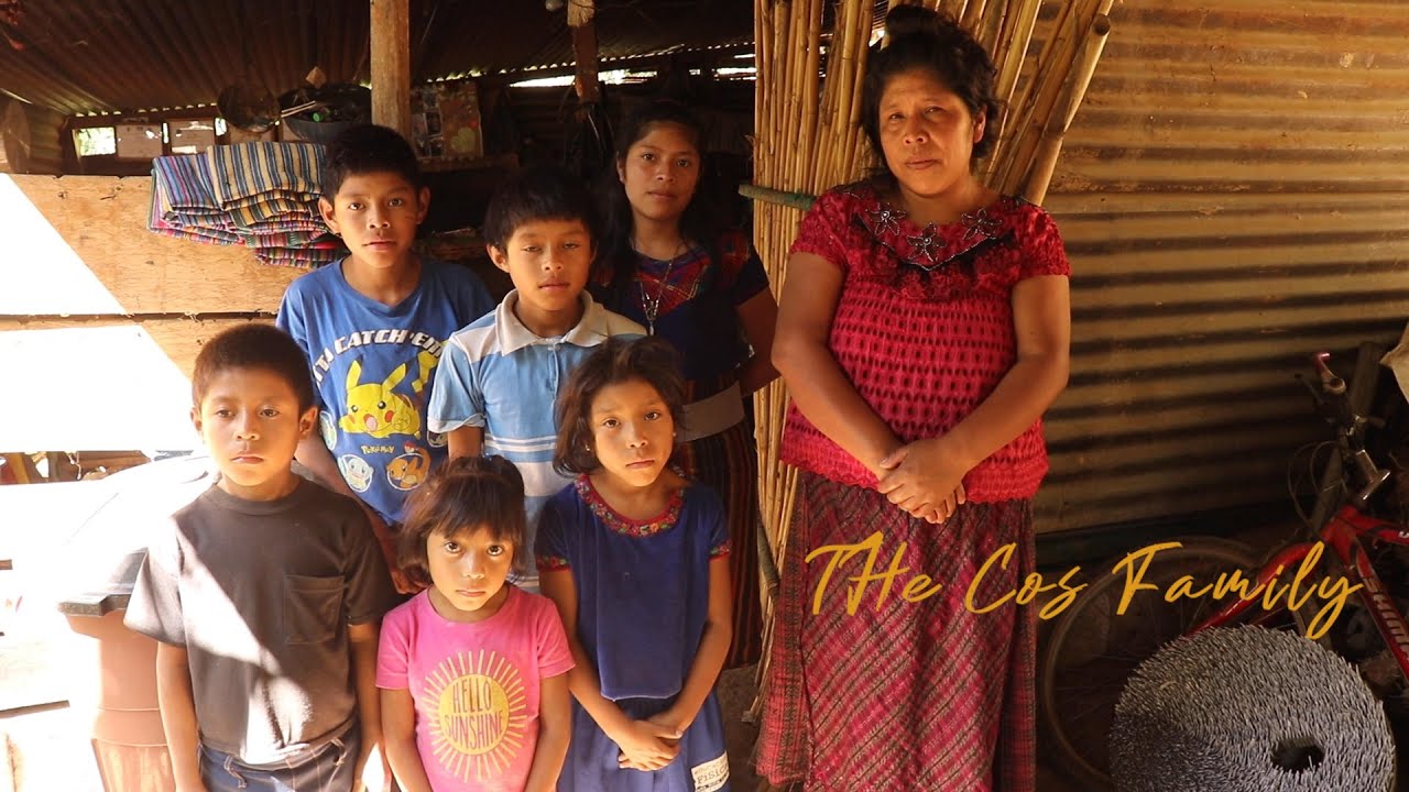 First Look | Cos Family | 60534 - YouTube