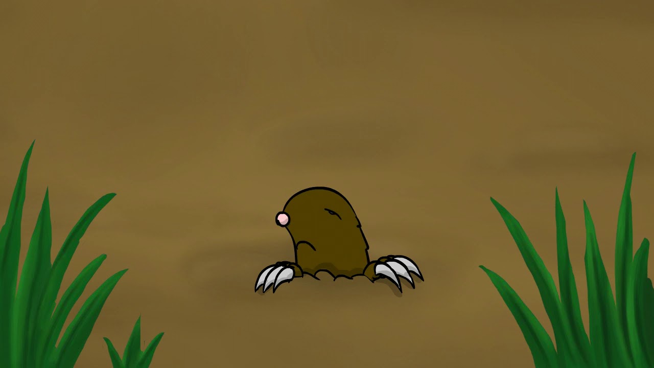 Peaceful Cute Mole Animation (2D Animation Assignment) - William ...