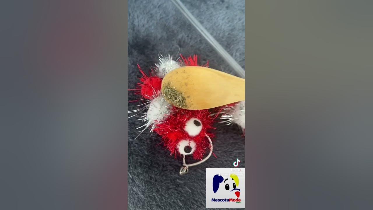 Como usar CATNIP natural con tu Gato. Encuéntralo para todo Ecuador en www.mascotamoda.com - YouTube