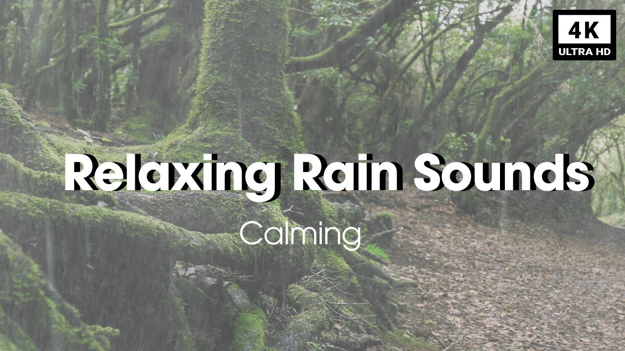 Relaxing Rainforest Soundscape for sleeping - Clam - YouTube