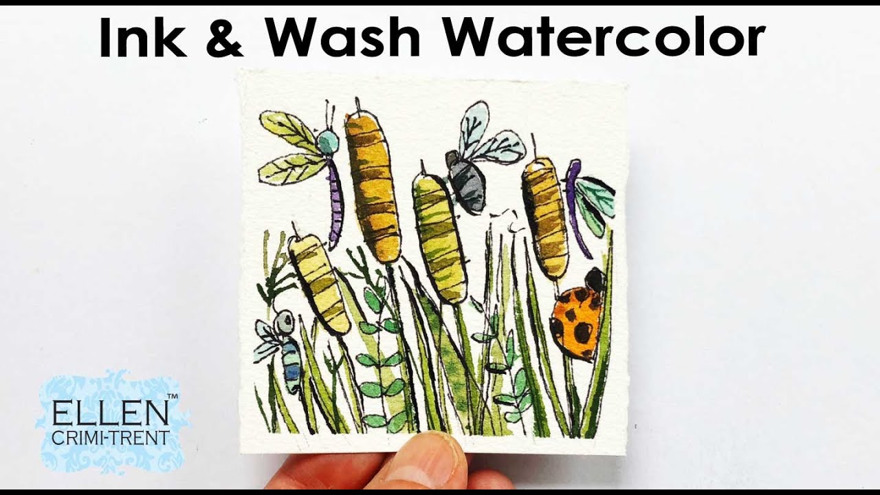 Ink & Wash Watercolor- Summer Bugs- Mini Monday Madness - YouTube