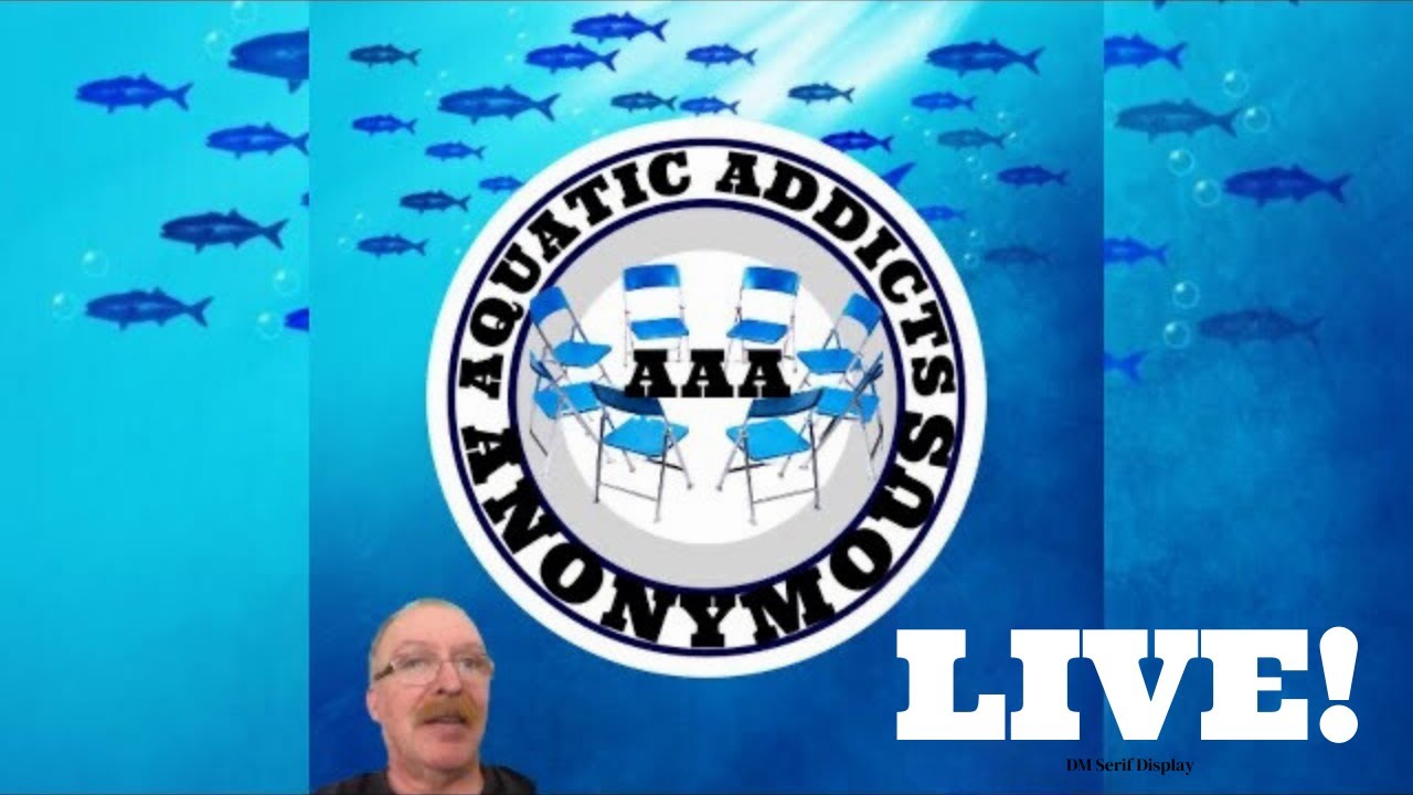 Aquatic Addicts Anonymous SPEACIAL with Jodi p and Christopher Junkin ...
