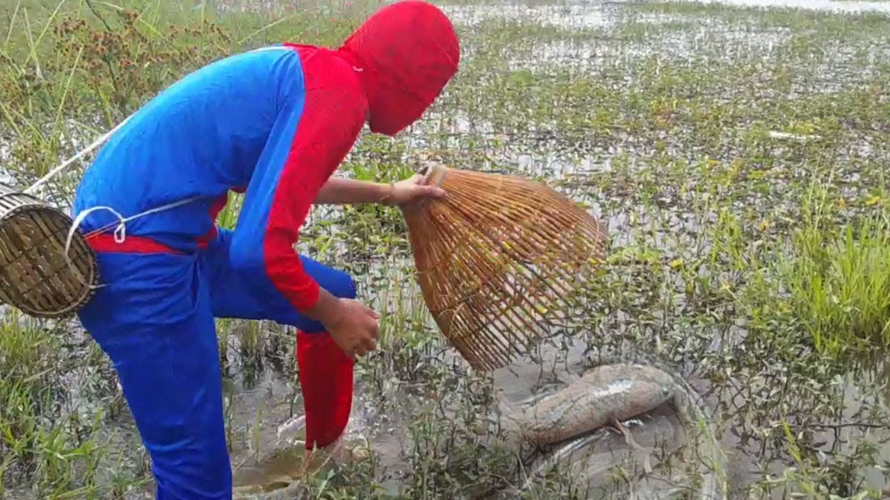 Wow! Spider Man Catch Fish USing Ang Ngrot | Spider Man Fishing at ...