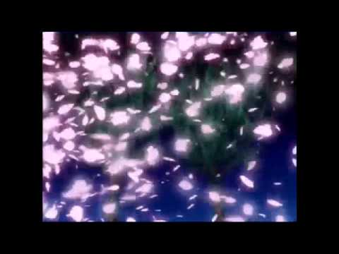 AMV Camus (Cdz)