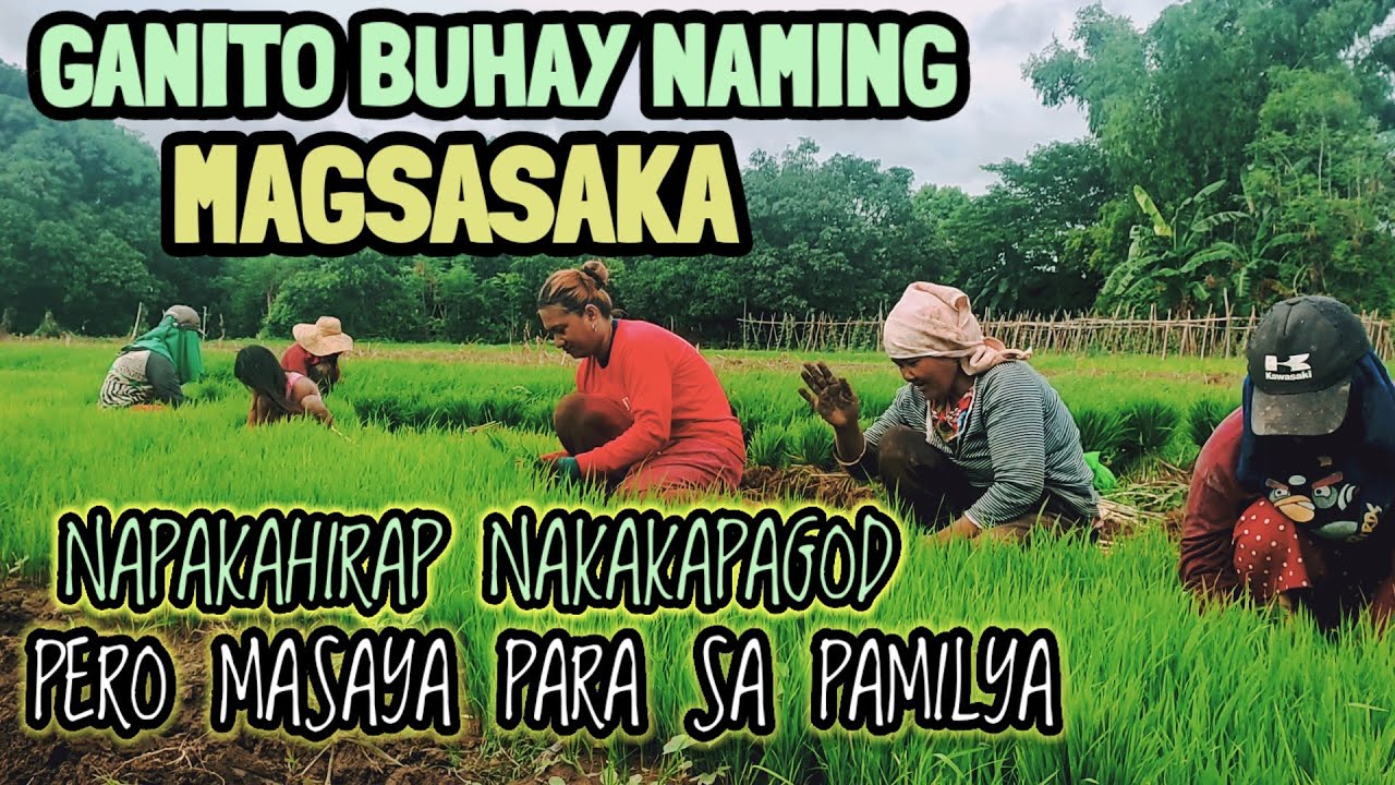 GANITO BUHAY NAMING MAGSASAKA/ NAPAKAHIRAP NAKAKAPAGOD PERO MASAYA PARA ...