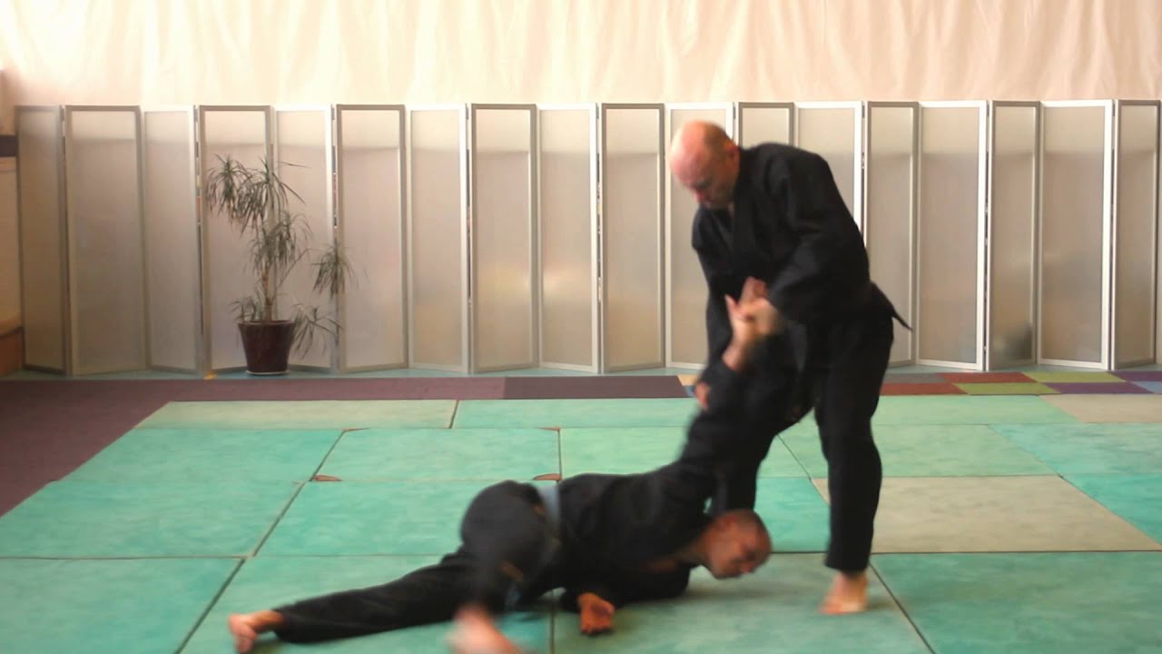 Kumite no.4 Senjoo Ryu Aiki- Aiki- Ju- Jutsu - YouTube