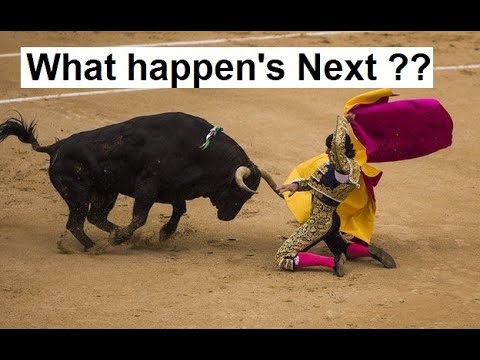 American Bull Fighting | American Freestyle Bullfighting - YouTube