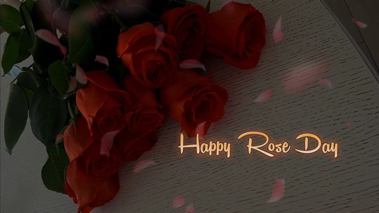 Happy rose day 🌹| Rose day status | 7 February whatsapp status ...