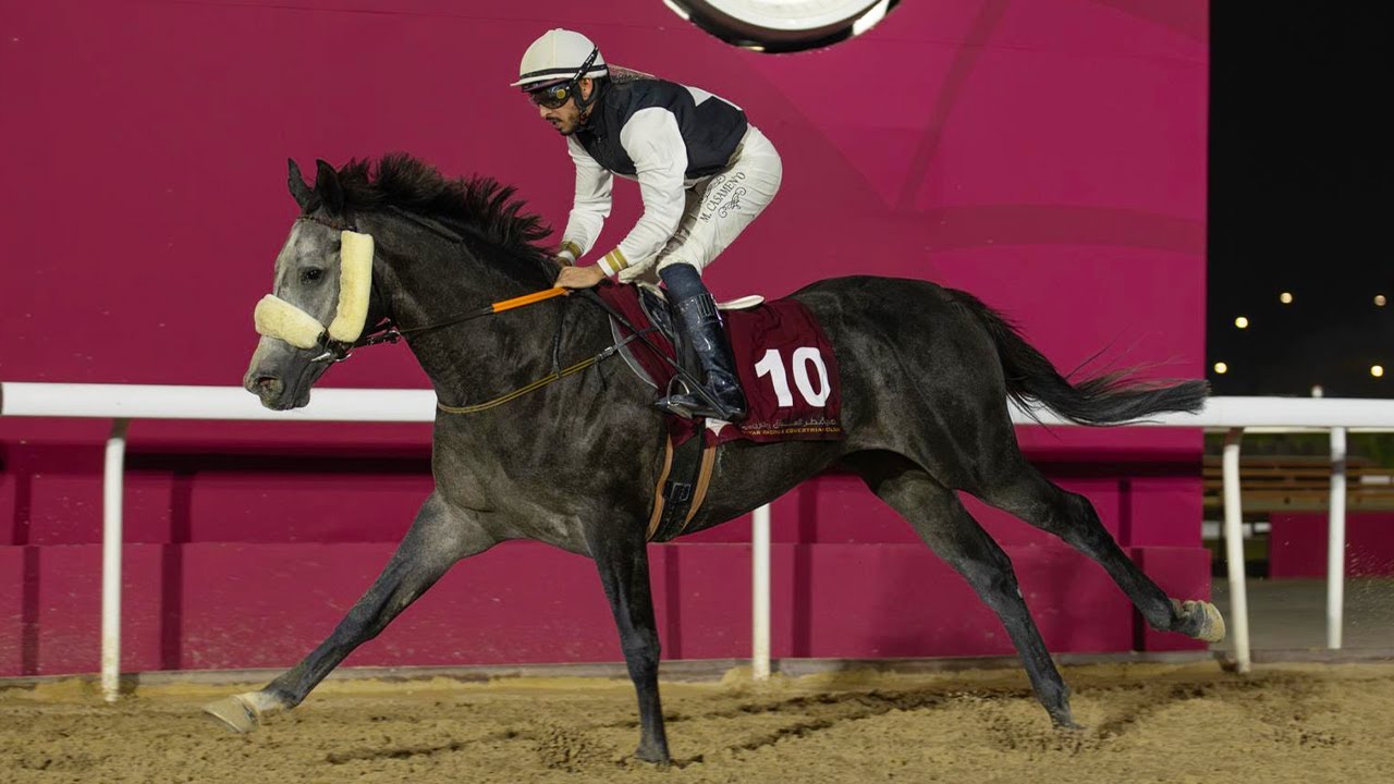 RM 5 Al Rayyan Race 7 - Al Beshariyah Cup - YouTube