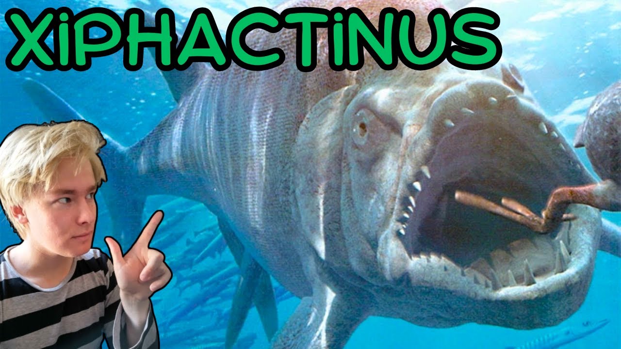 The Cretaceous Monster Fish: Xiphactinus - YouTube