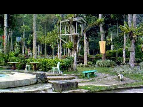 Aguacan Cold Spring Resort part 3 - YouTube