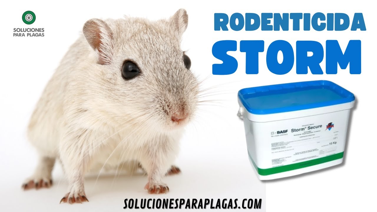 Rodenticida Raticida Veneno para ratas STORM soluciones para plagas ...