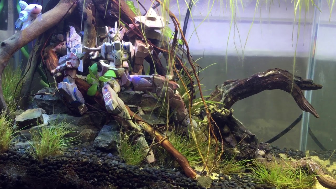 "Forgotten Soldier" - Gundam - YouTube