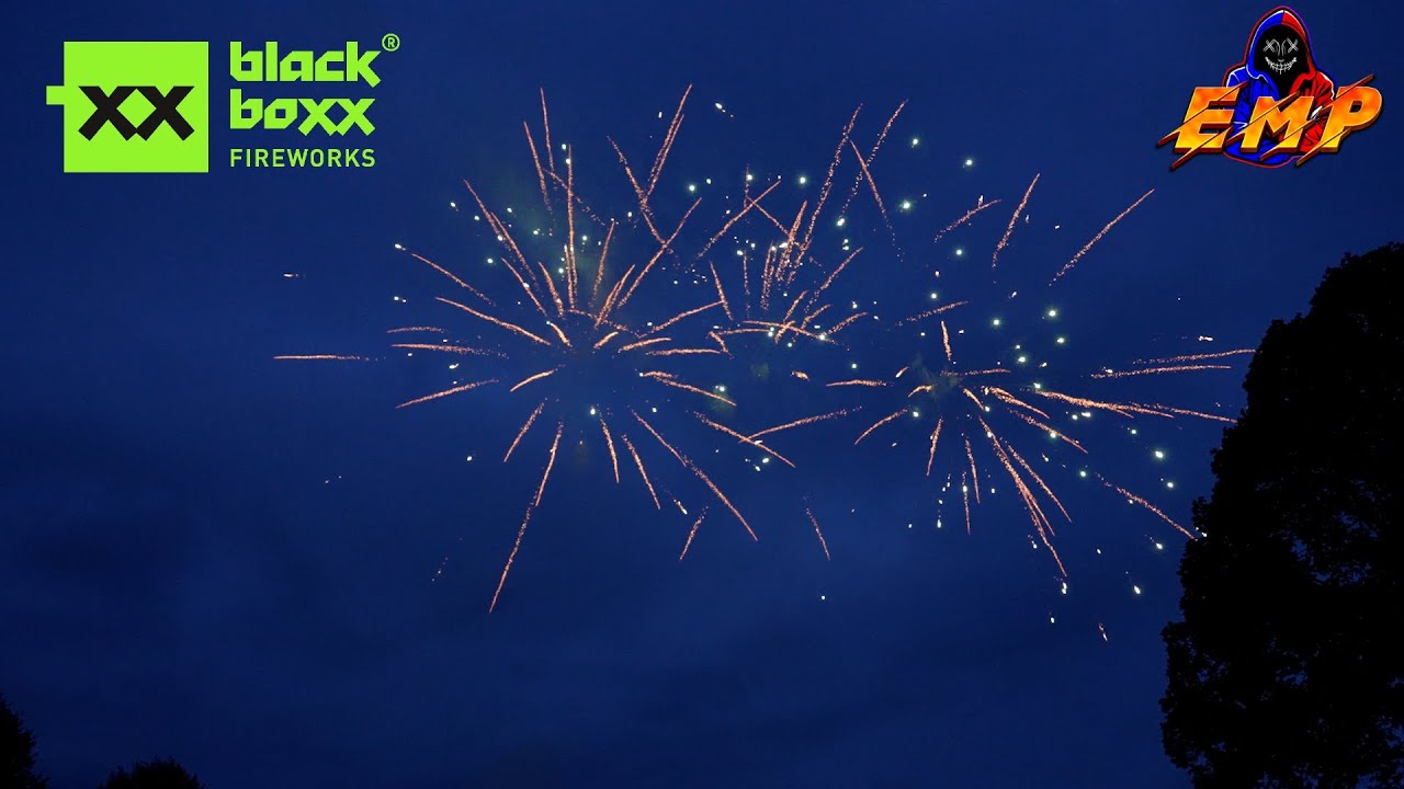 Blackboxx EMP "Daydreamer" (Muster) Neuheit 2025 - YouTube