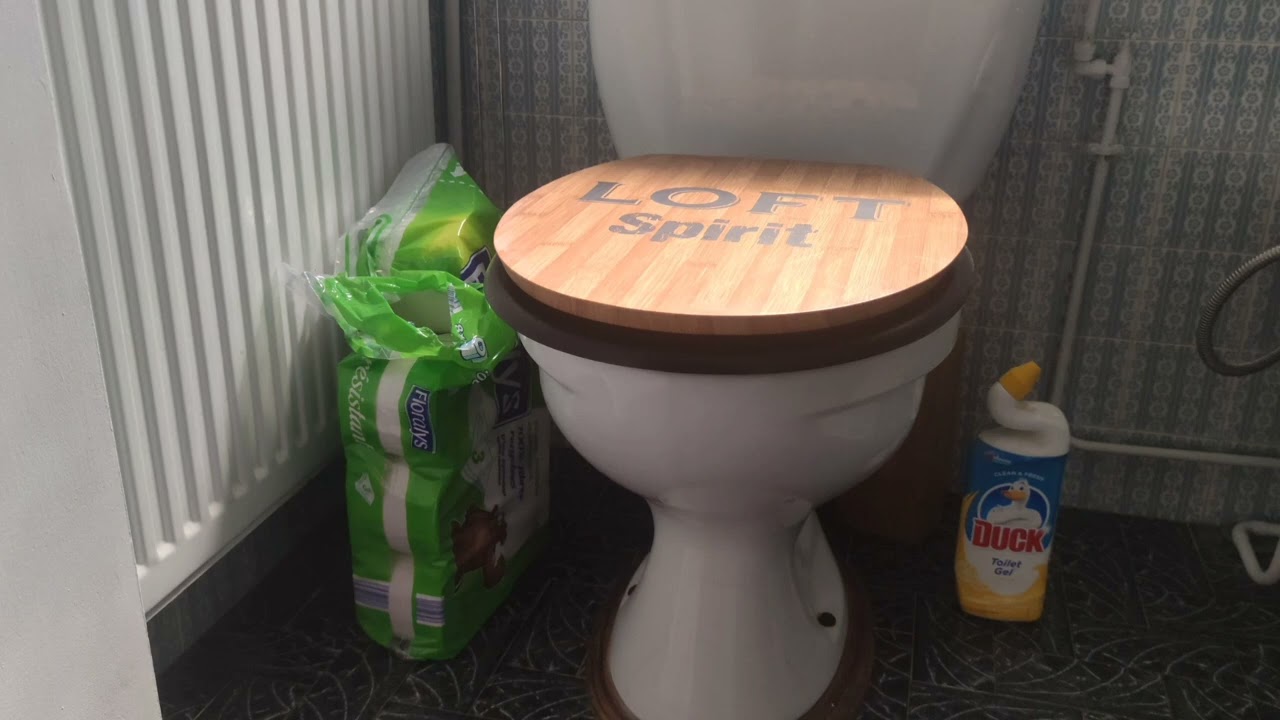 Bruit au toilette - les petites crottes plouf plouf dans l'eau - YouTube