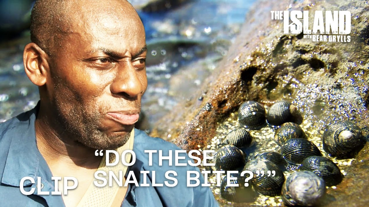 Do Snails Bite? | The Island with Bear Grylls - YouTube