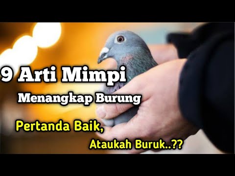 INILAH 9 ARTI MIMPI MENANGKAP BURUNG | PERTANDA BAIK ATAUKAH BURUK..??