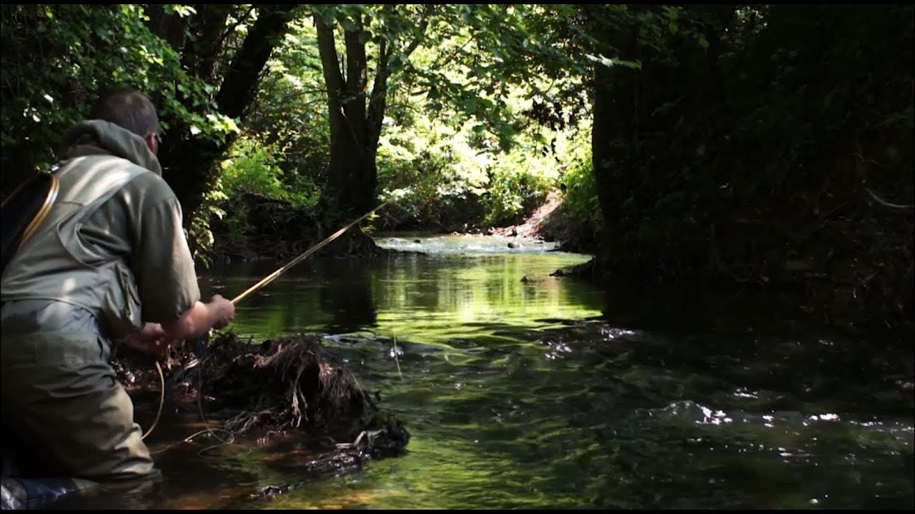 Overgrown III - Fly Fishing for Wild Brown Trout on an English Stream ...