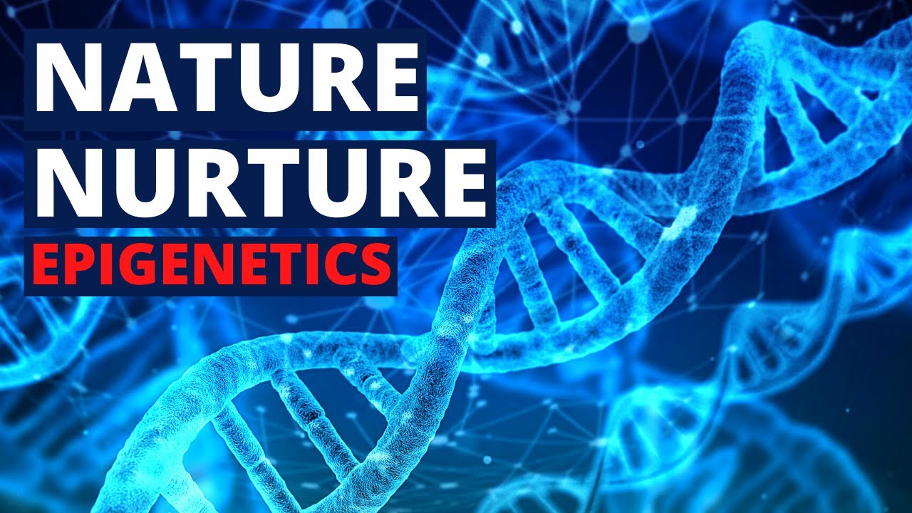 What Is Epigenetics The Answer To The Nature Vs Nurture