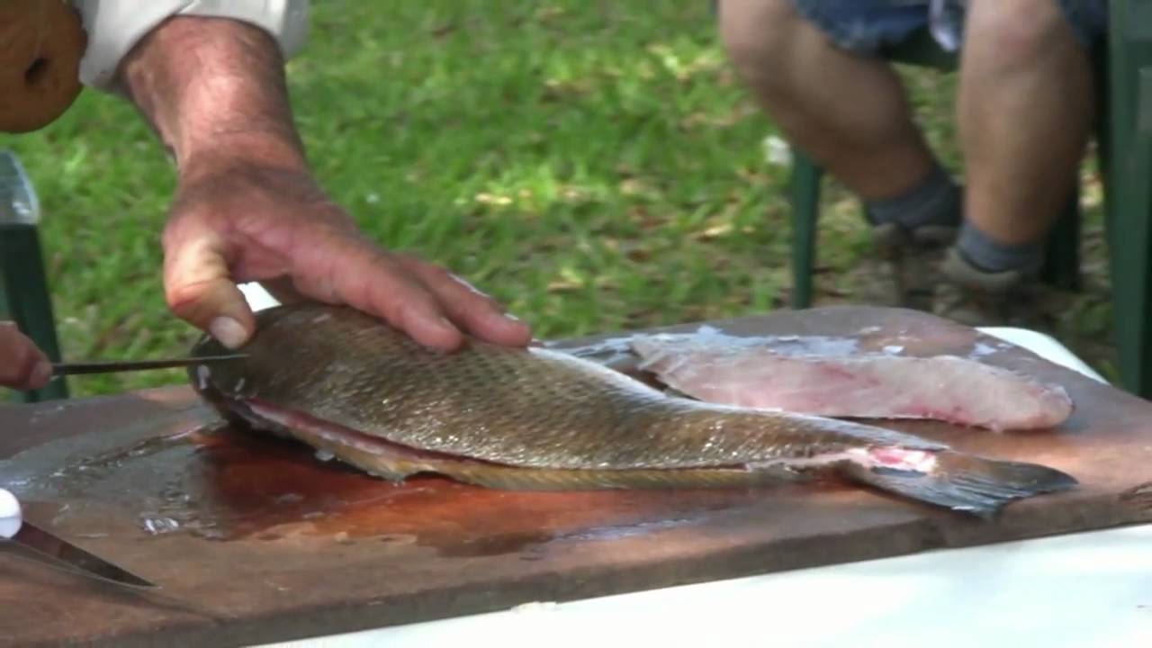 How to Fillet a Redfish - YouTube