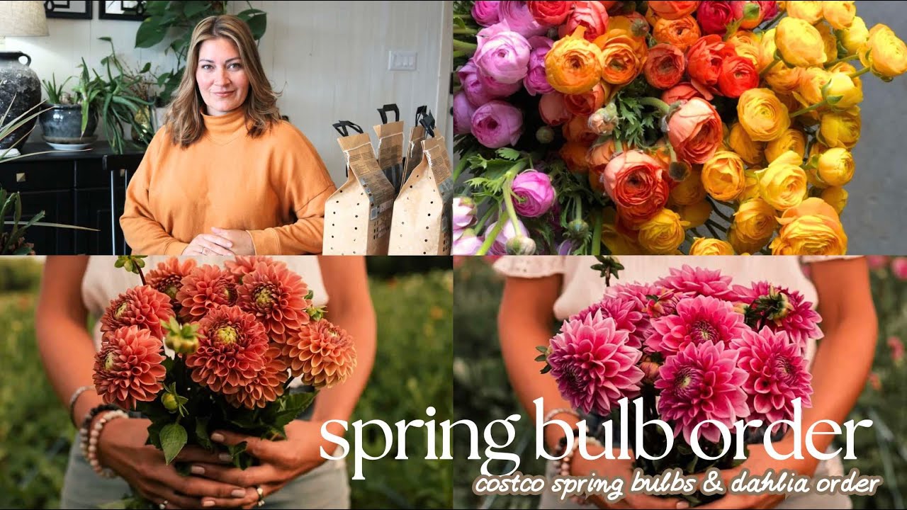 Costco Spring Bulbs & Dahlia Order - YouTube