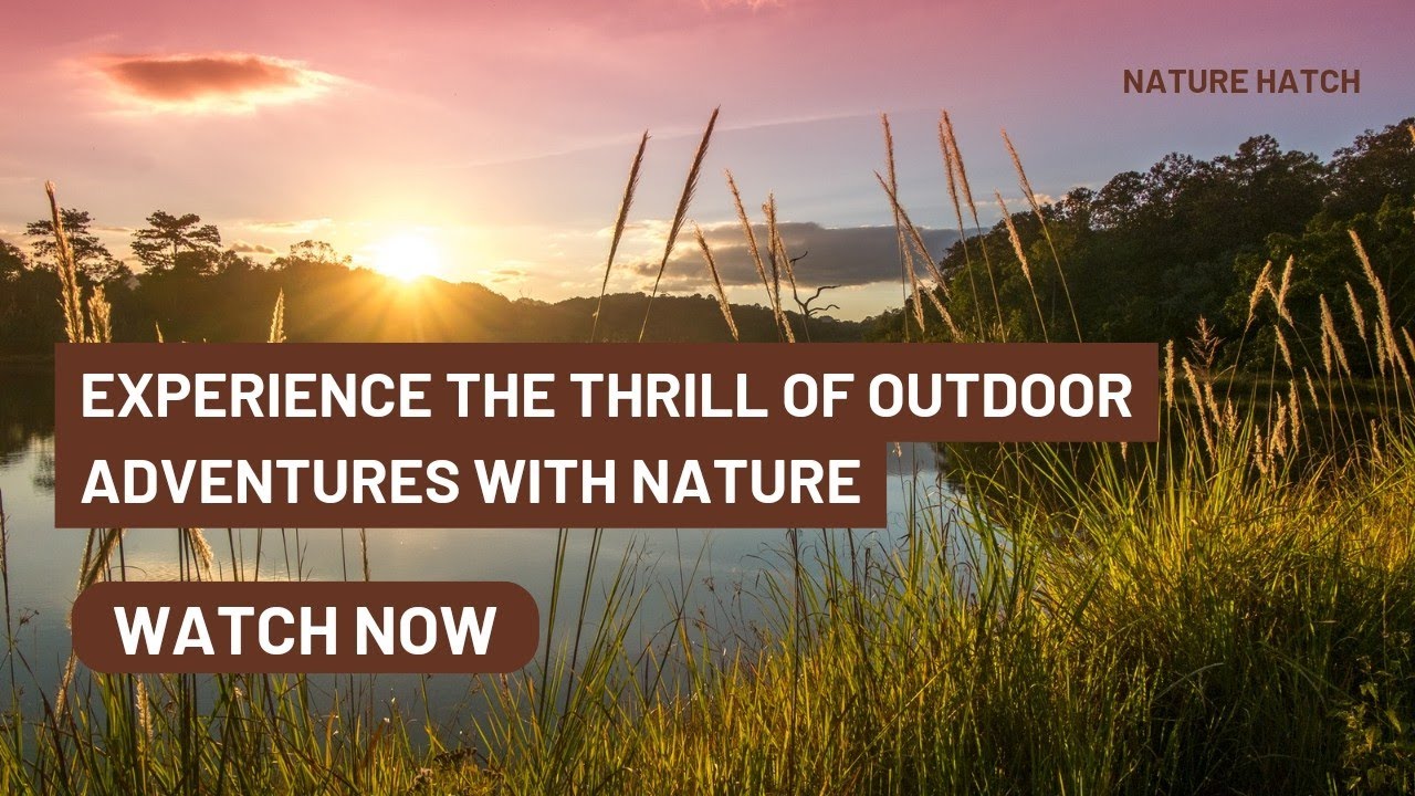 Experience the Thrill of Outdoor Adventures with Nature || Nature Hatch ...