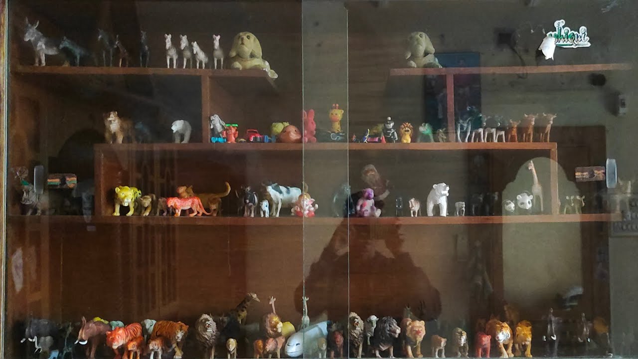 Animal collection - YouTube