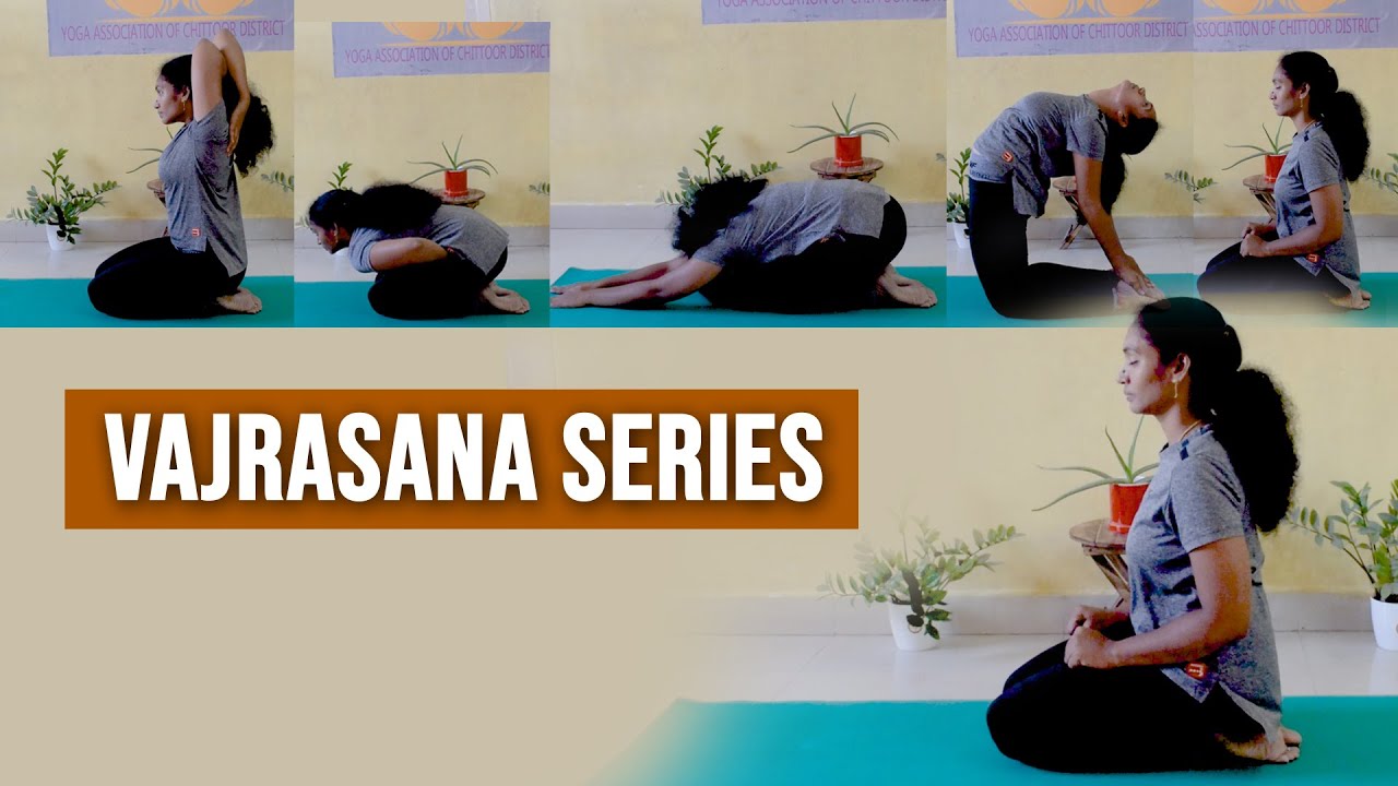 Vajrasana Series | Yogasanas Flow | #yoga #fitness #meditation # ...