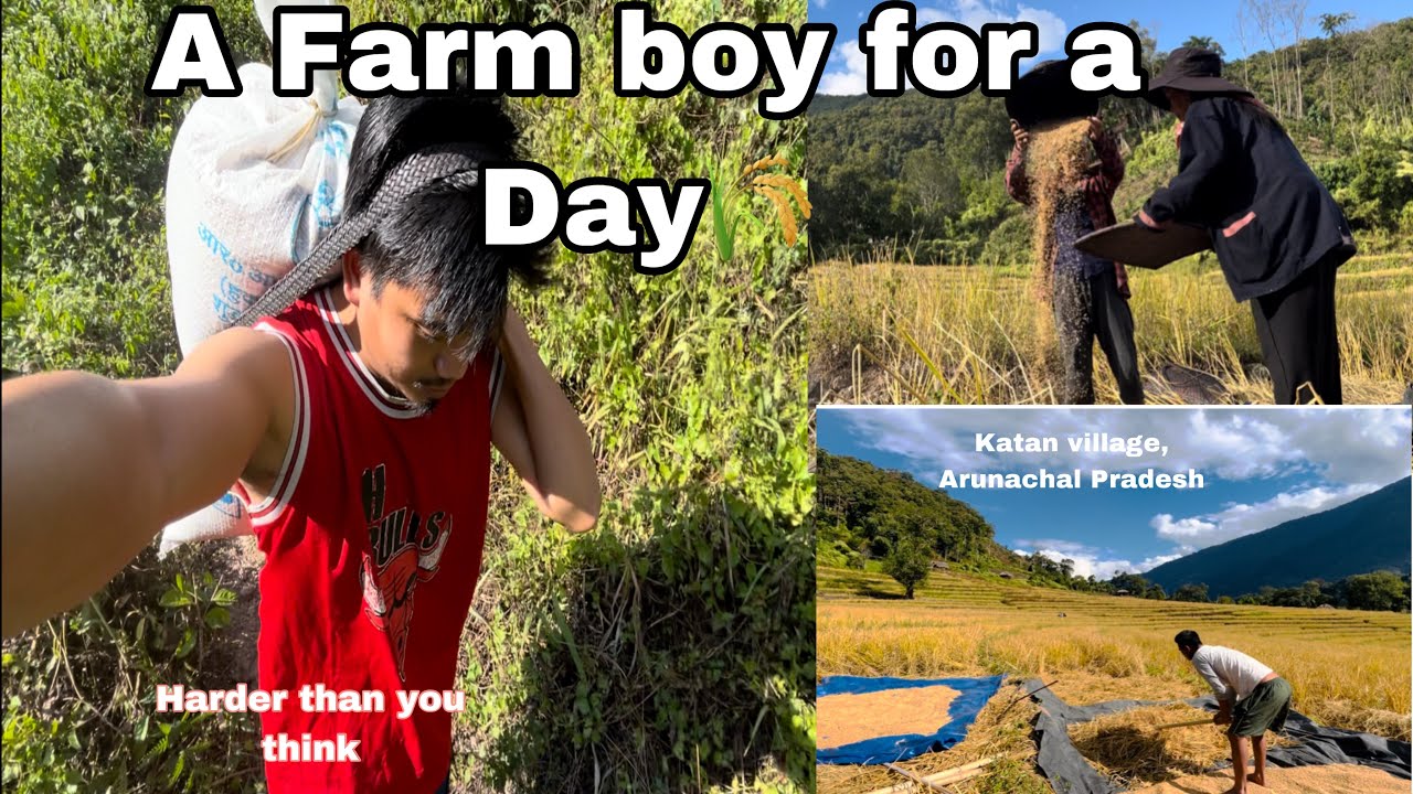This is how it works 🌾😪|A Farm Boy for a day👨‍🌾| I can’t..😭|Traditional ...