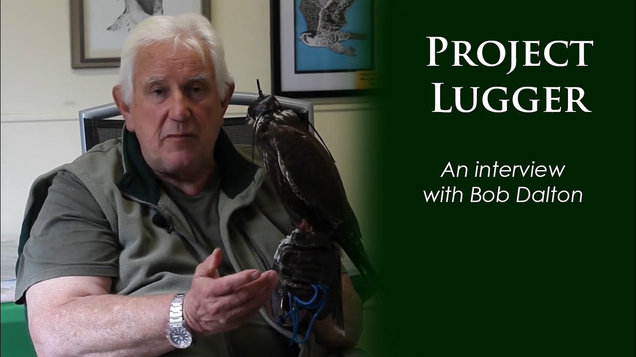 An interview with Bob Dalton - YouTube