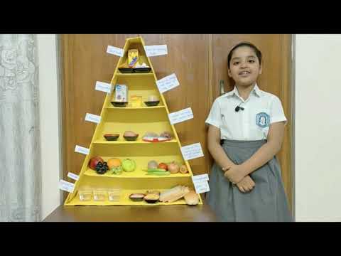 Food Pyramid Science Project | Capstone School Dhaka - YouTube