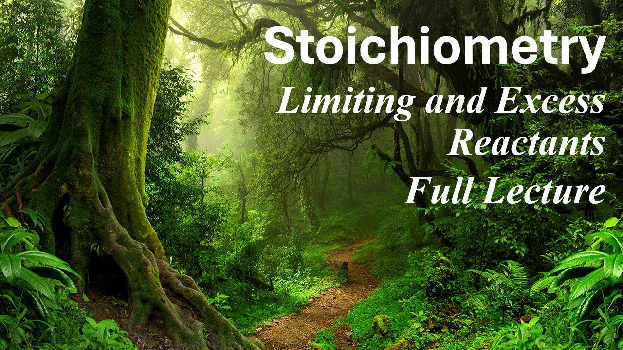 Stoichiometry: Finding the Limiting Reactant - Full Lecture - YouTube