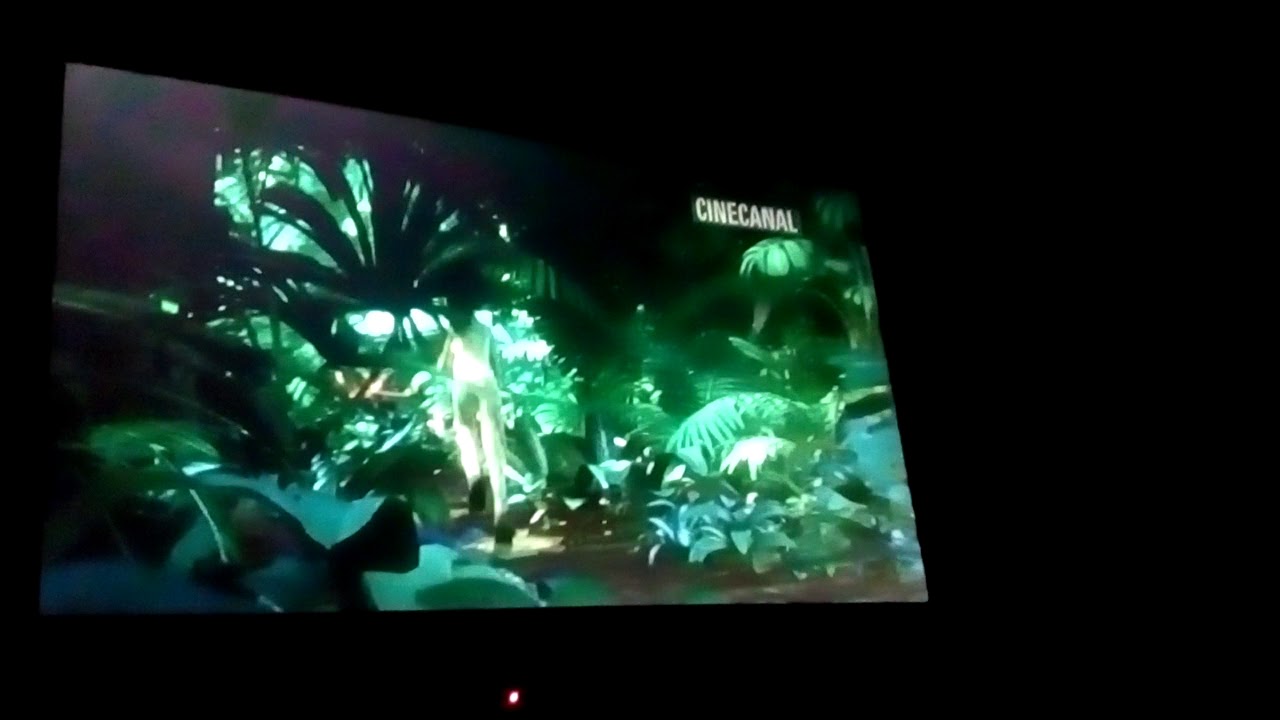 Río 2 la captura de linda y tulio - YouTube