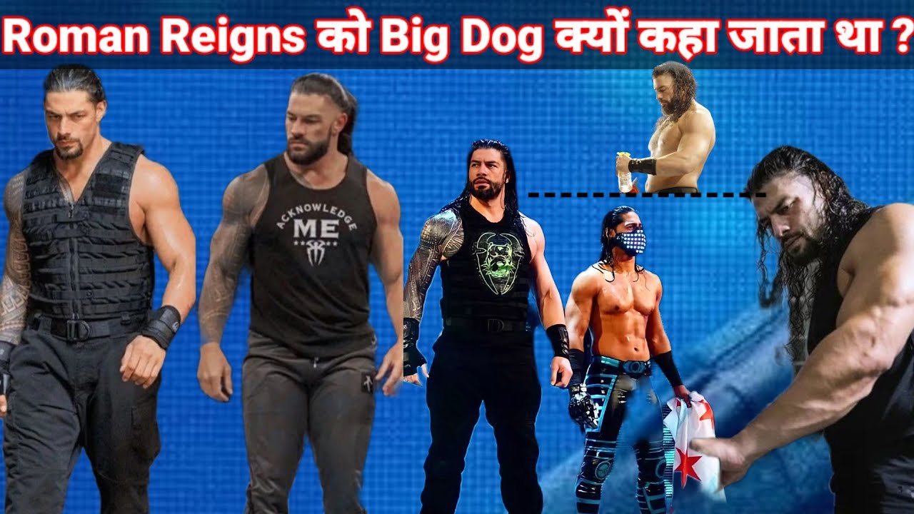 #Roman Reigns को Big Dog Roman Reigns क्यों कहा जाता है ? #wwe # ...