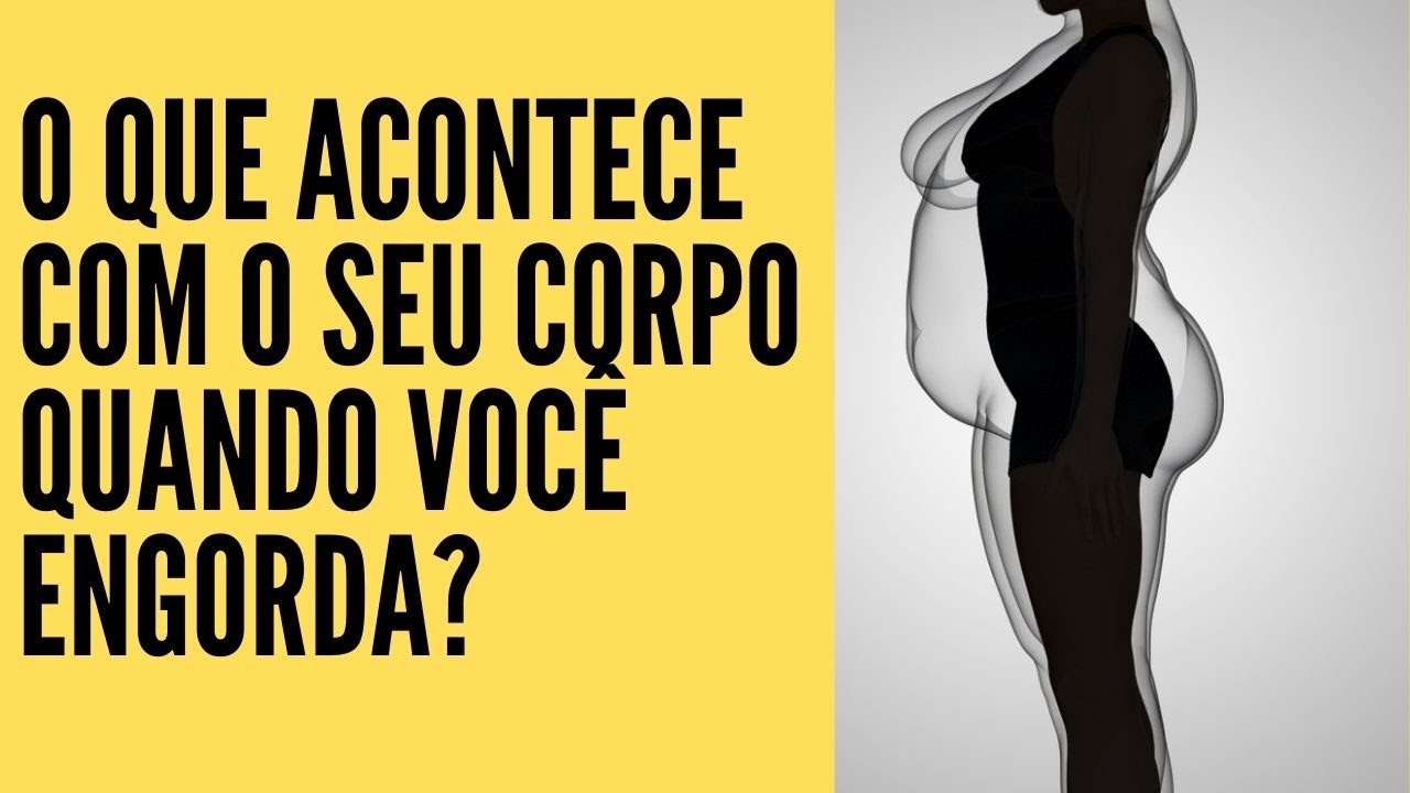 O Que Acontece Com O Seu Corpo Quando Você Engorda Efeitos Do Excesso