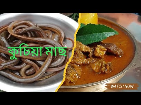 কুচিয়া মাছৰ তৰকাৰী।Kushiya Fish recipe. - YouTube