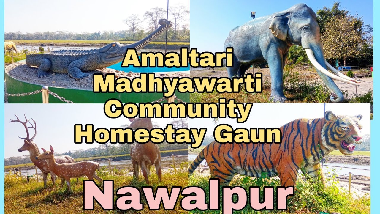 Homestay- Amaltari Madhyawarti Community Homestay, Kawasoti-15,Baghkhor ...