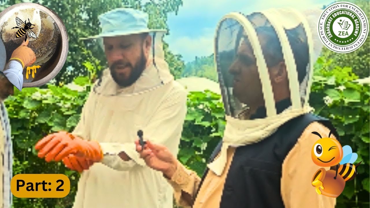 The Golden Gift of Honey Bees: Part 2 - Unveiling More Quranic Secrets ...