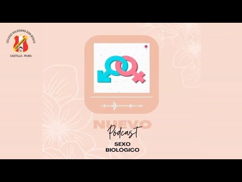 Descubriendo el Sexo Biologico: Lo que Todo Adolescente Debe Saber | Podcast con Jorge Pagan ...