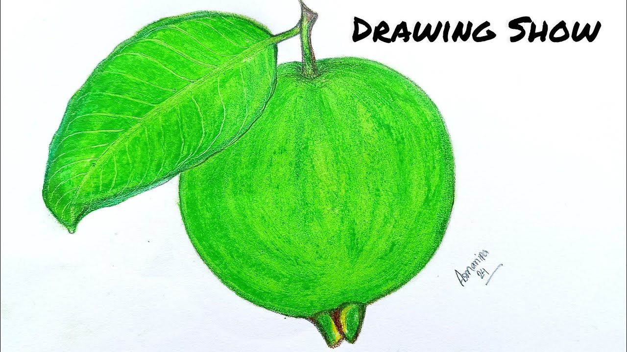 Guava Drawing Easy ||How To Draw Guava Step by step (very easy) - YouTube