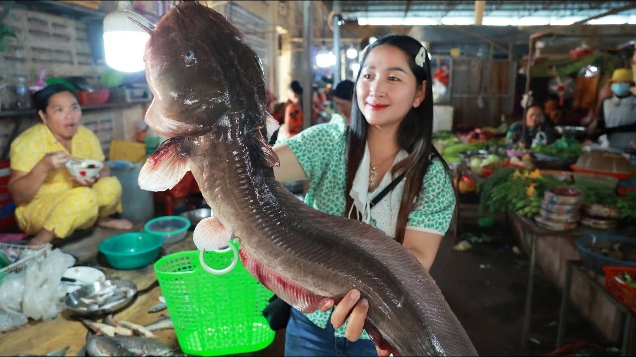 BIG OCEAN CAT FISH | Have you every big fish like this? | Ocean Cat Fish Sour Soup | Market Show ...
