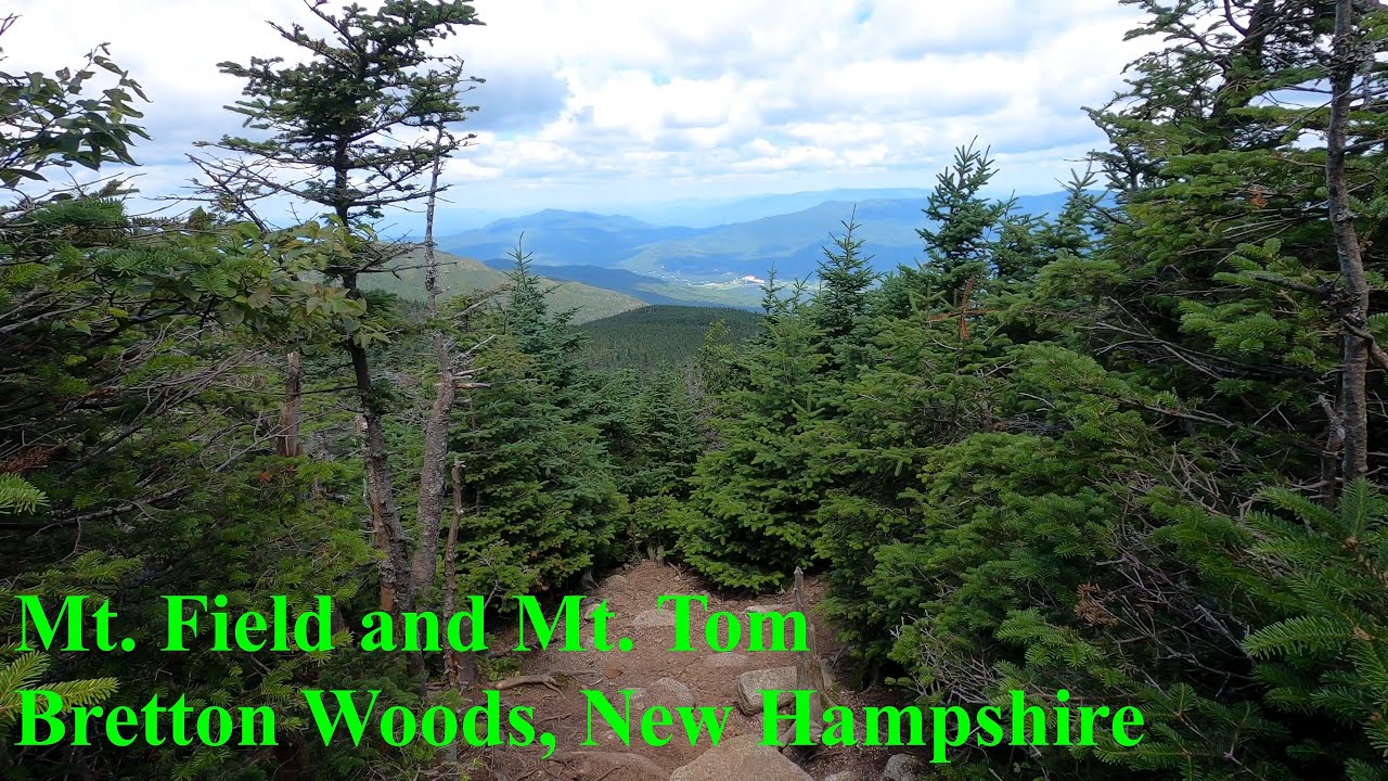 Hike to Mt. Field and Mt. Tom, White Mountains NH in 4K - YouTube