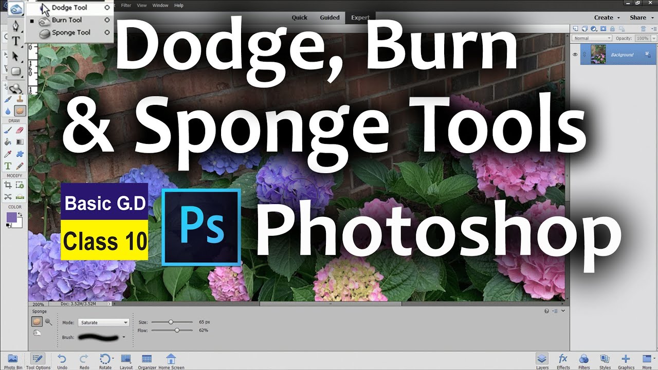Dodge, Burn And Sponge Tools - Photoshop Class 10 | Basic Graphic ...