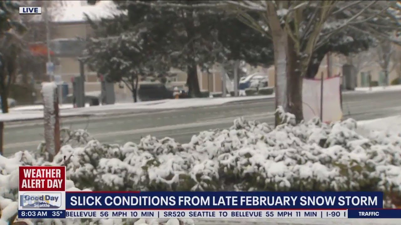 Late February snow storm leaves slick conditions on roads | FOX 13 ...