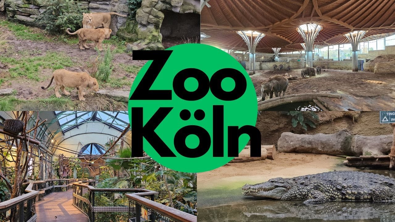 Kölner Zoo 2025 - Rundgang durch einen der besten Zoos in Deutschland ...