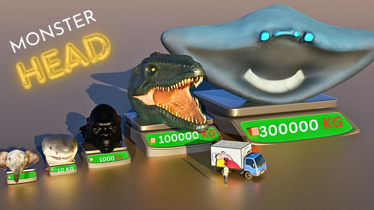 Ultimate Head Weight Comparison | Sea Monsters vs Animals | Bloop vs El ...