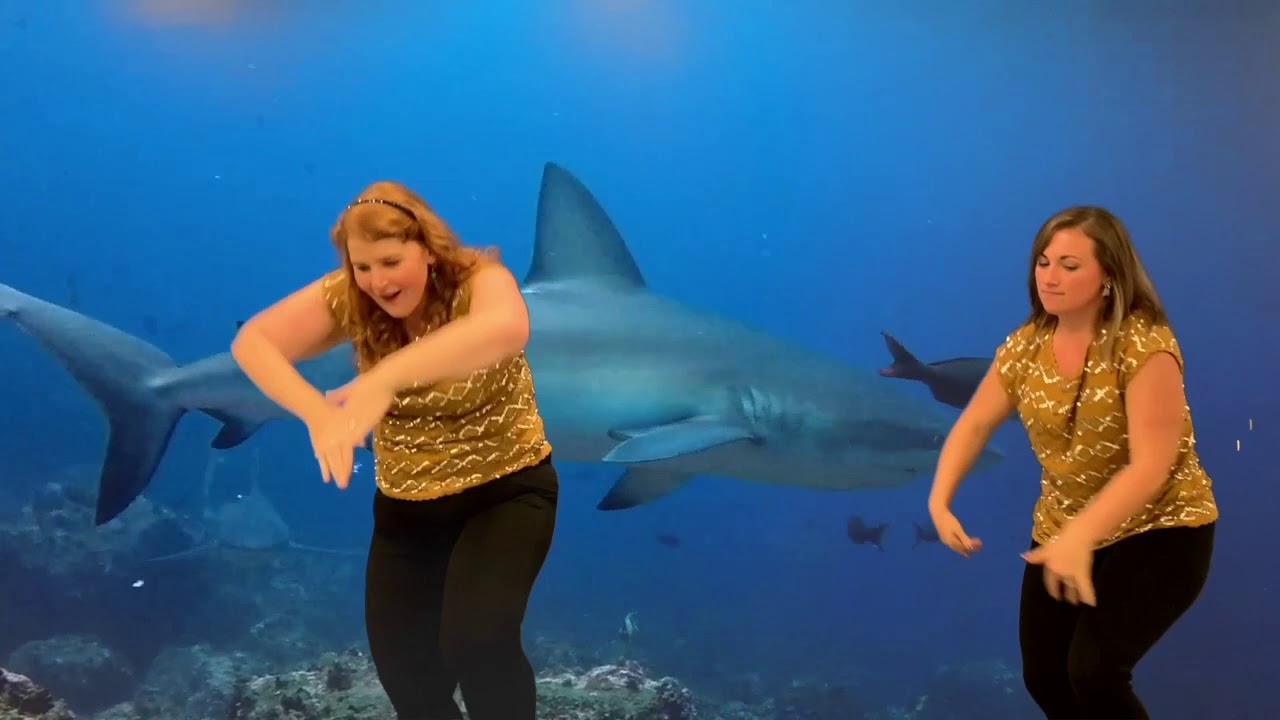 Aquarium - YouTube