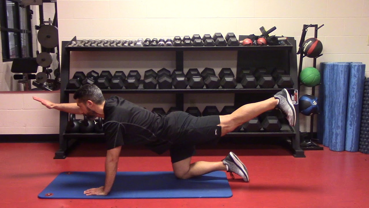 Opposite Arm and Leg Lift - YouTube