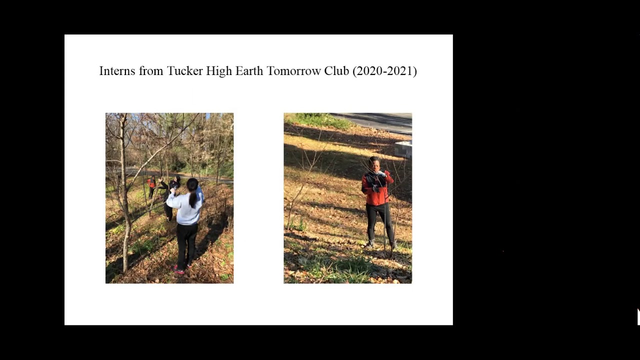 Advanced Tree Care Class with Mike Fillon - YouTube